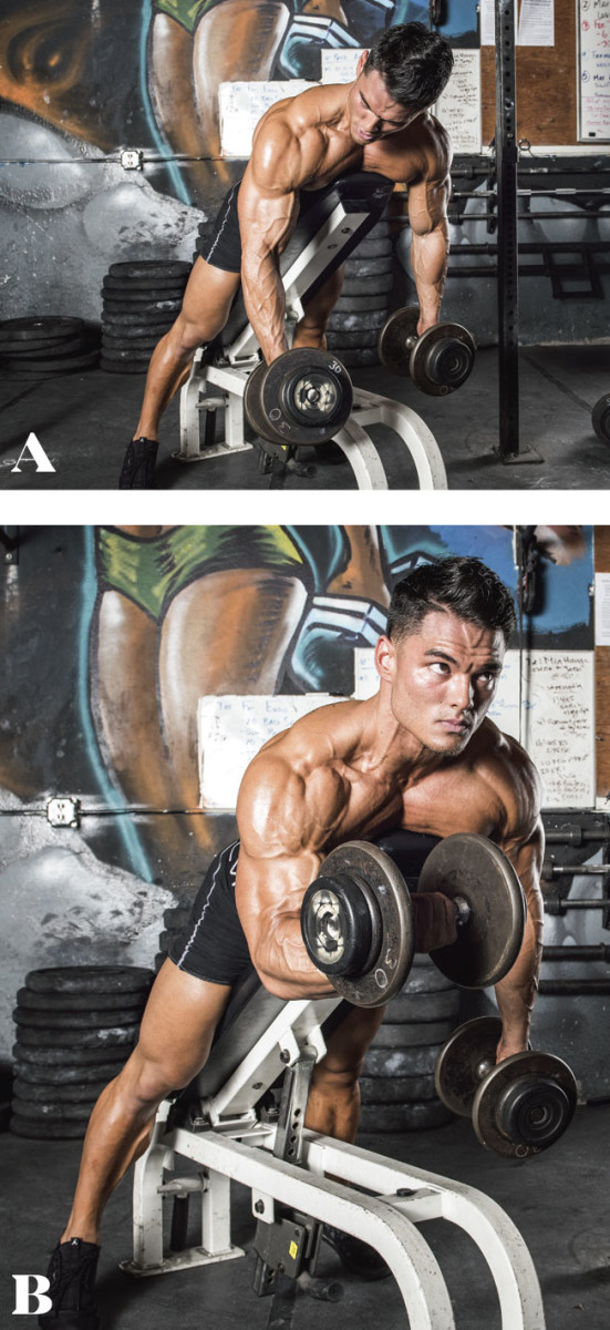 Serious Pull for Back & Biceps