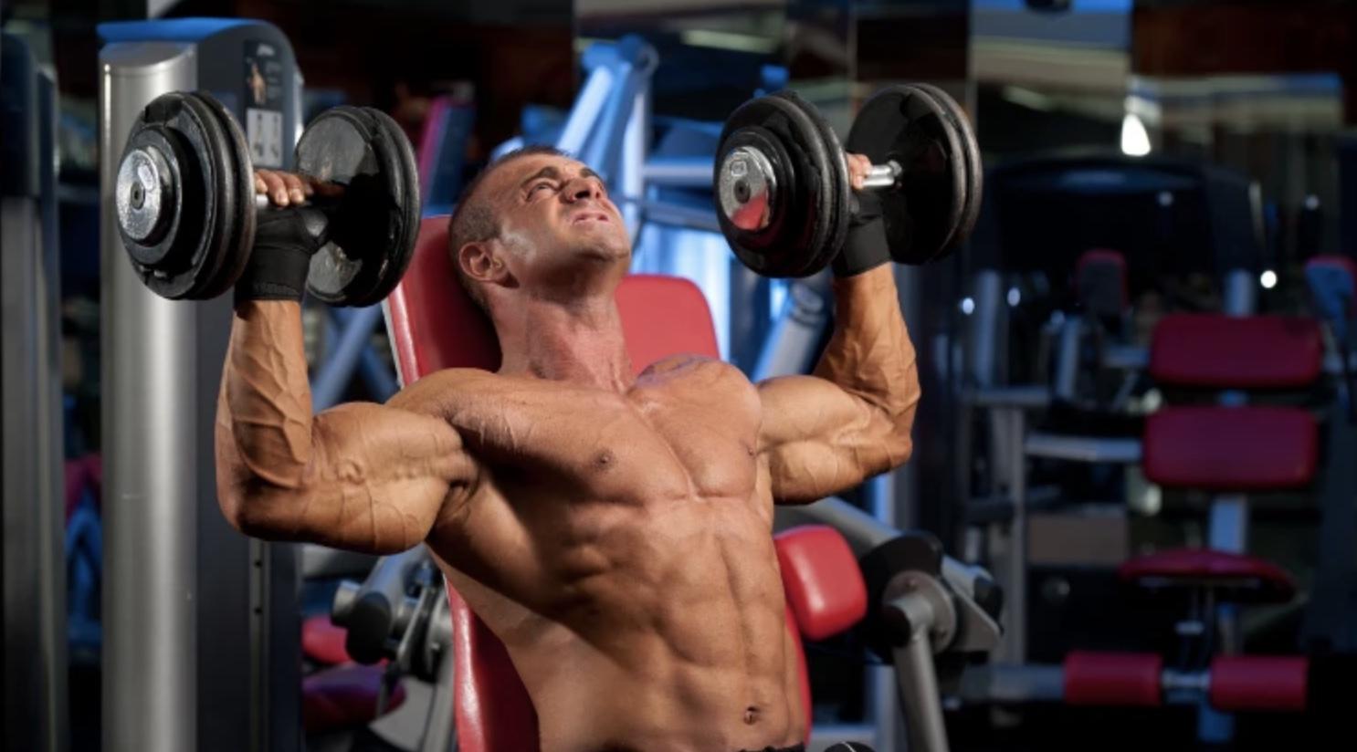 Exercises and Tips for Shoulder Development