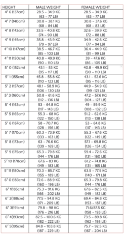 Maintain a Competitive Bodybuilding Figure